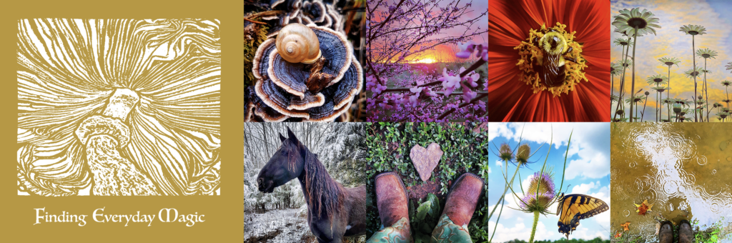 Finding Everyday Magic – A Journey of Hope and Healing through Nature